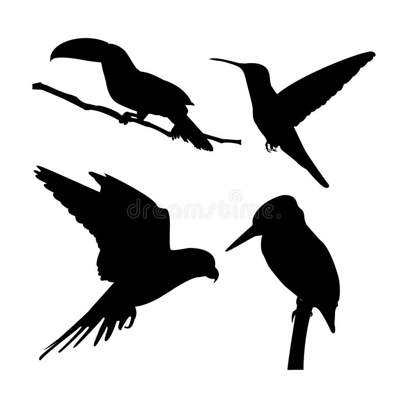 Ilustrador Vectorial De Aves Ilustración del Vector - Ilustración de ...