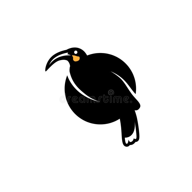 Huia Bird Stock Illustrations – 6 Huia Bird Stock Illustrations ...