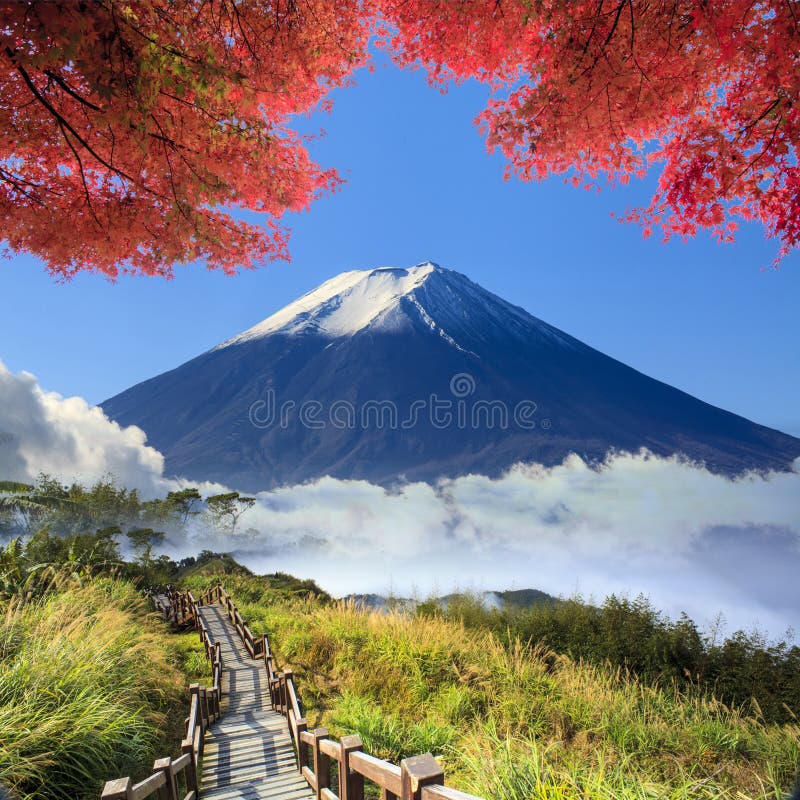Imaaging of Beautiful Landscape with Nice Nature Color Stock Photo ...