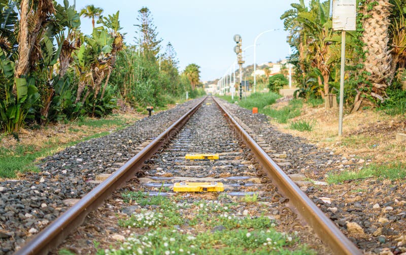 Image of Abandoned Train Tracks with Overgrown Grass Stock Image ...