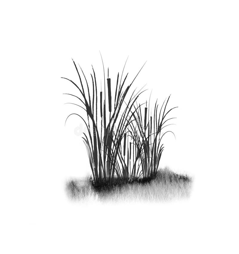 Tall Weed Stock Illustrations – 354 Tall Weed Stock Illustrations ...