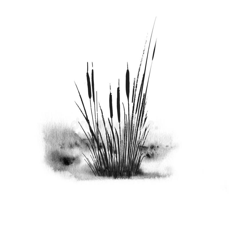 Bull Rushes Black White Stock Illustrations – 113 Bull Rushes Black ...