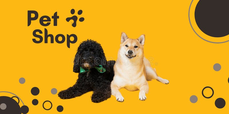 Image for Advertising of Pet Shop with Cute Dogs Stock Image - Image of ...