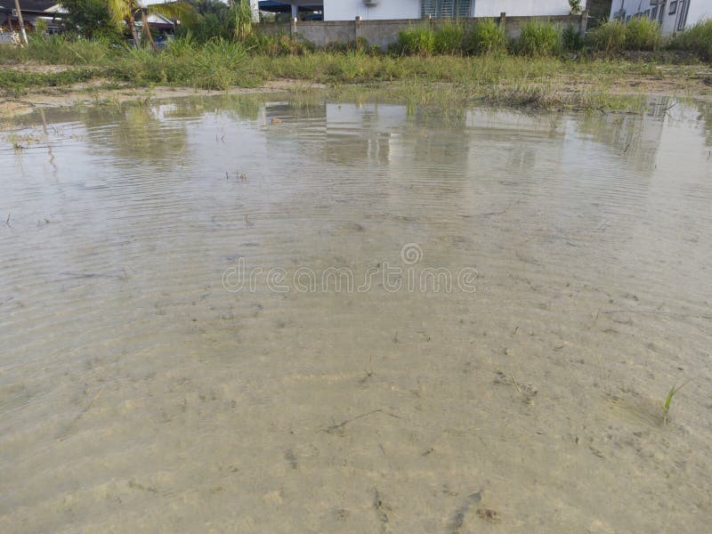 Aerial Scene of the Residential Vicinity with an Outdoor Huge Puddle ...