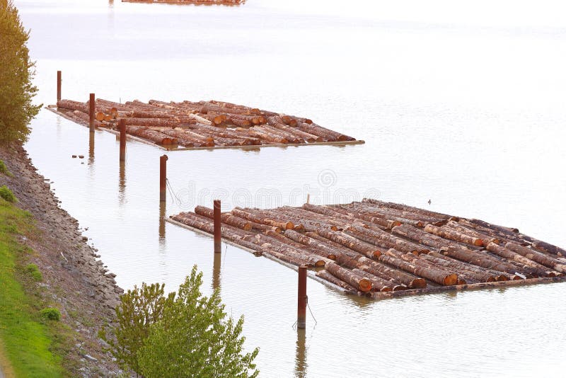 Logs on river stock image. Image of color, louise, peaceful - 26773317