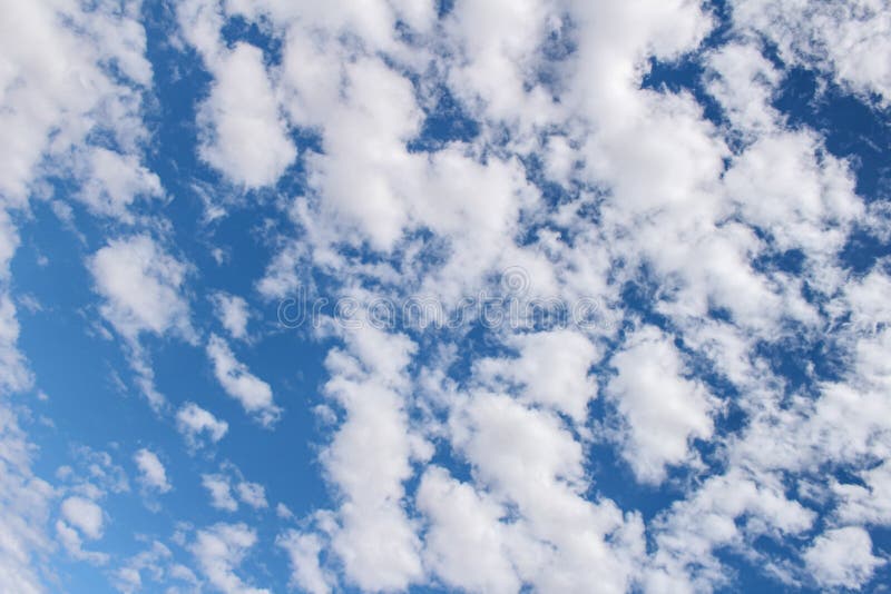 Cloud : Altocumulus Floccus Stock Image - Image of altocumulus, field ...