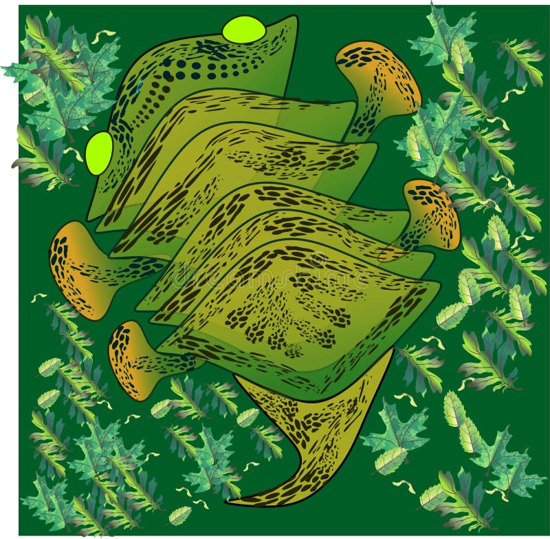 That is the Image of Amazing Creature Which is Very Rare Stock ...