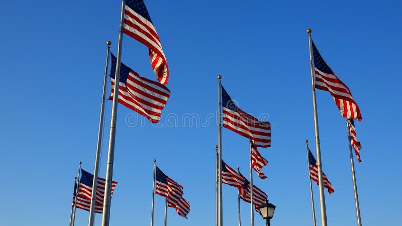 An American Flags Usa stock photo. Image of united, states - 265610342