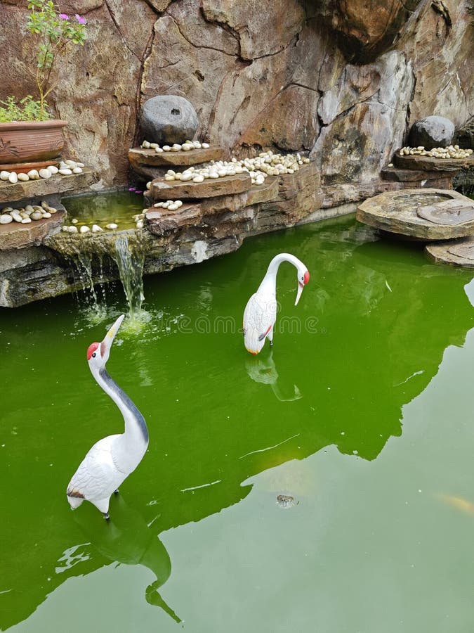 Artificial Pond and Heron Birds at the Park. Stock Photo - Image of ...