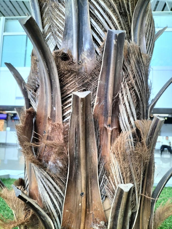 Image of Artificial Tree Made of Real Part of Tree Arrangement Stock ...