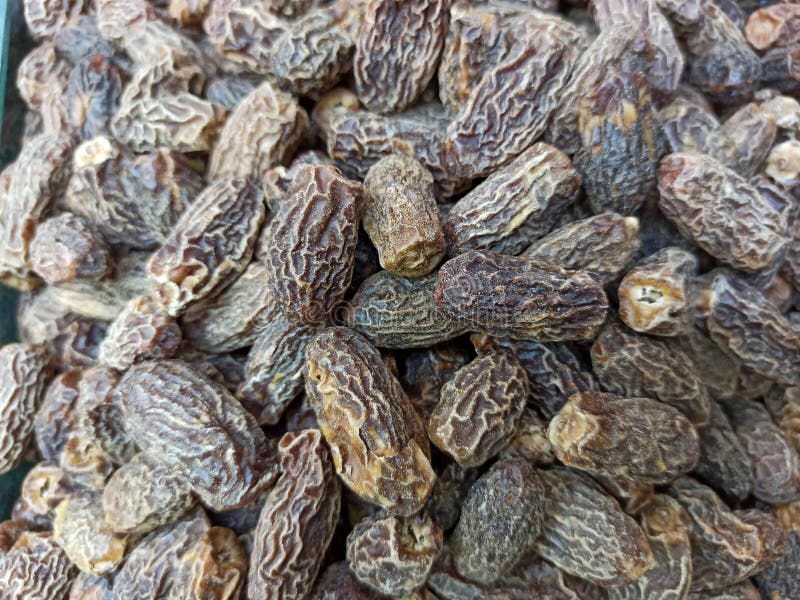 Image of Assorted Brown Dates Stock Image - Image of dates, texture ...