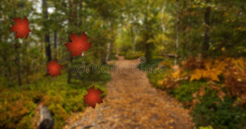 Image of Autumn Leaves Falling Over Trees in Forest Stock Illustration ...
