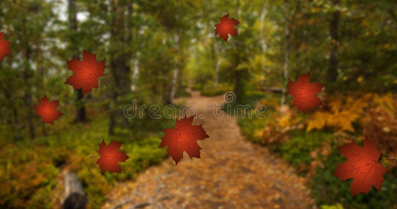 Image of Autumn Leaves Falling Over Trees in Forest Stock Illustration ...