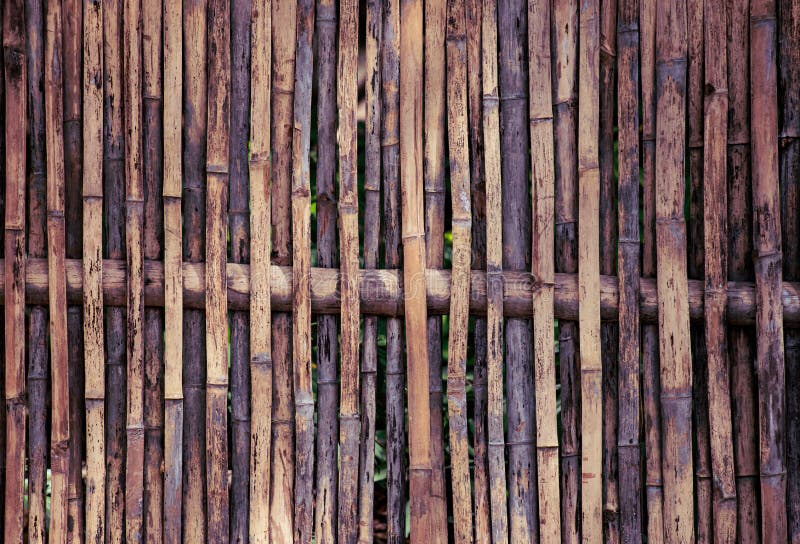 An Image Background Texture Wall or Barrier for Bamboo Wooden Tree ...