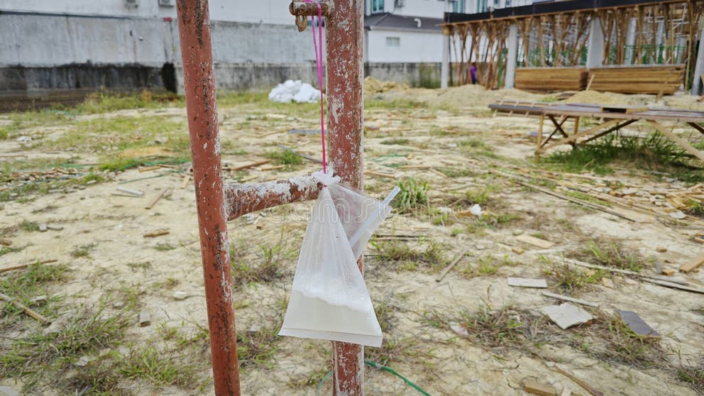 A Bag of Disposable Plastic String Drink with Straw Hanging on the ...