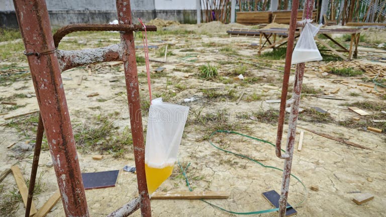 A Bag of Disposable Plastic String Drink with Straw Hanging on the ...