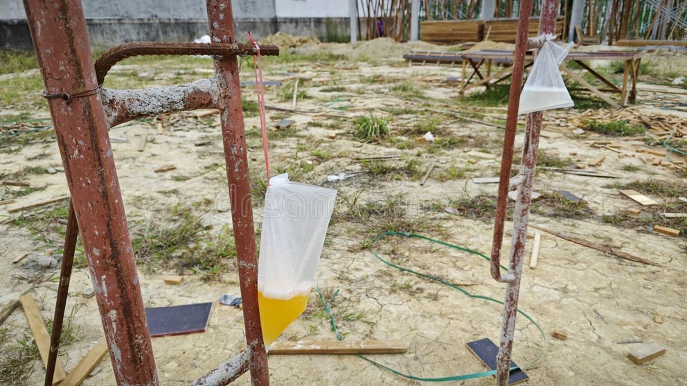 A Bag of Disposable Plastic String Drink with Straw Hanging on the ...