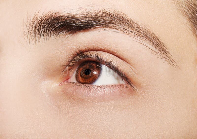 Image of a Beautiful Insightful Look Human Eye Stock Image - Image of ...