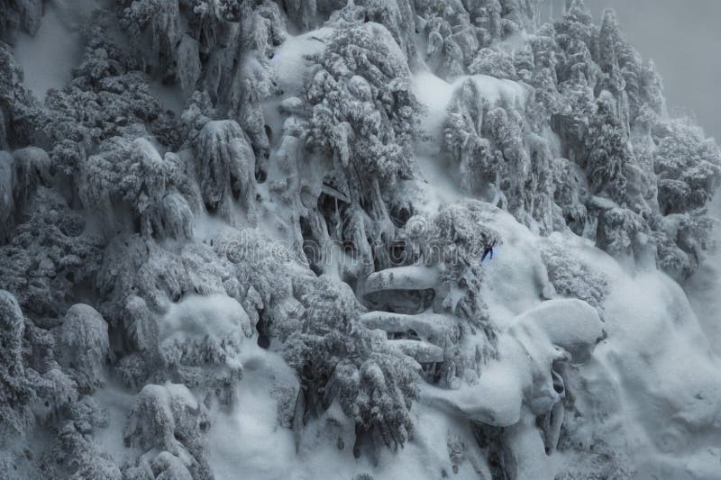 Image of the Beautiful Psychedelic Snowy Cliff Around the Forest ...
