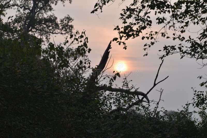 This is an Image of Beautiful Sunrise or Morning Sun Scenery or Scenic ...