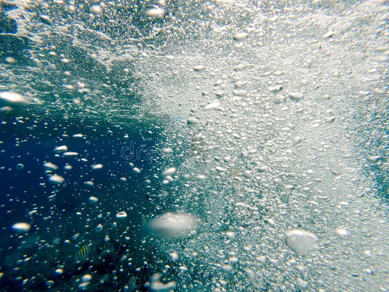 Image from Below Bubble Water Stock Photo - Image of clean, ambiance ...