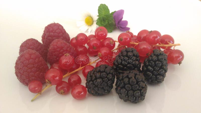 Image of berries stock photo. Image of food, berries - 173336986
