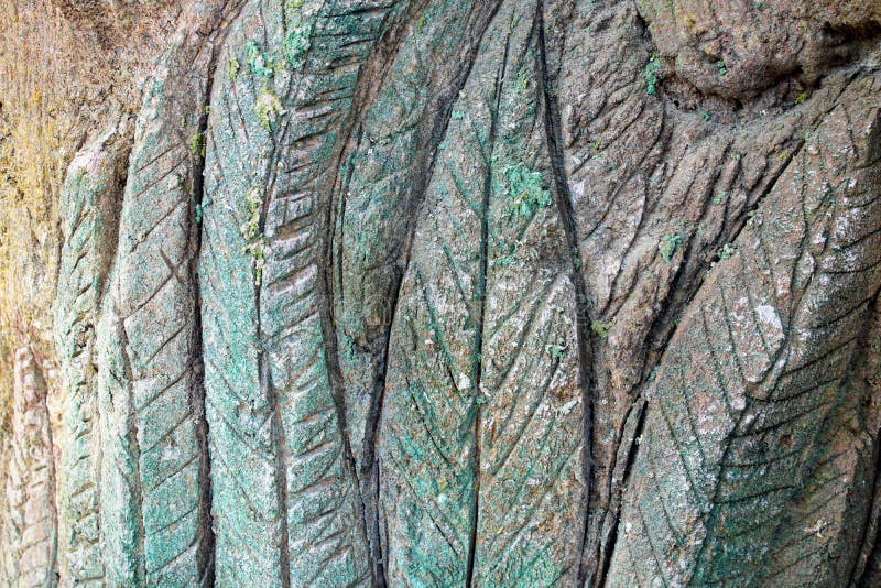 Image of big and old tree stock image. Image of plant - 176484103