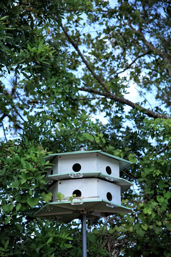Bird house and trees stock image. Image of handmade - 119200549