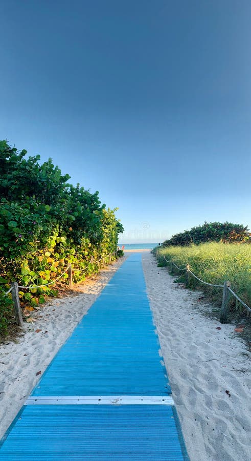Image of Blue Pathway To the Beach of the Sea. Stock Image - Image of ...