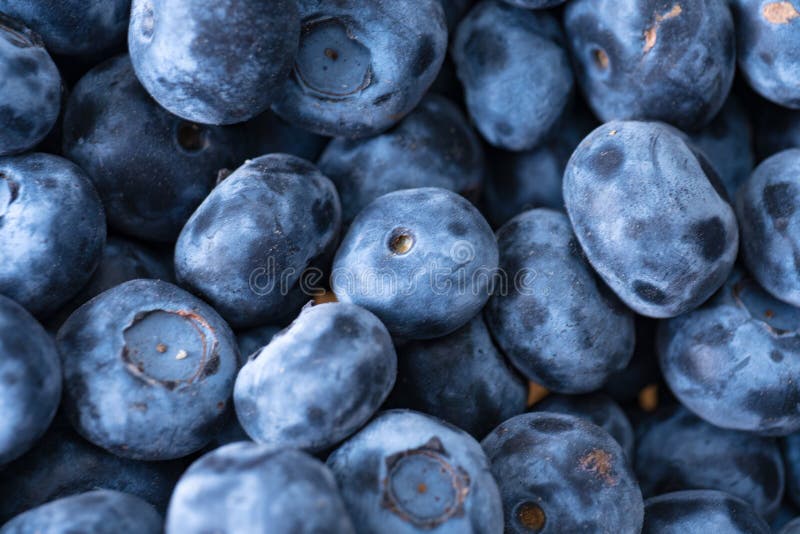 Image of Blueberries from Above, Close Up. Stock Photo - Image of ...