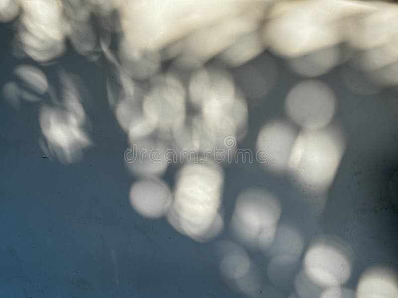 The Image is a Blurry Shadow of a Tree with Many Small Circles Stock ...