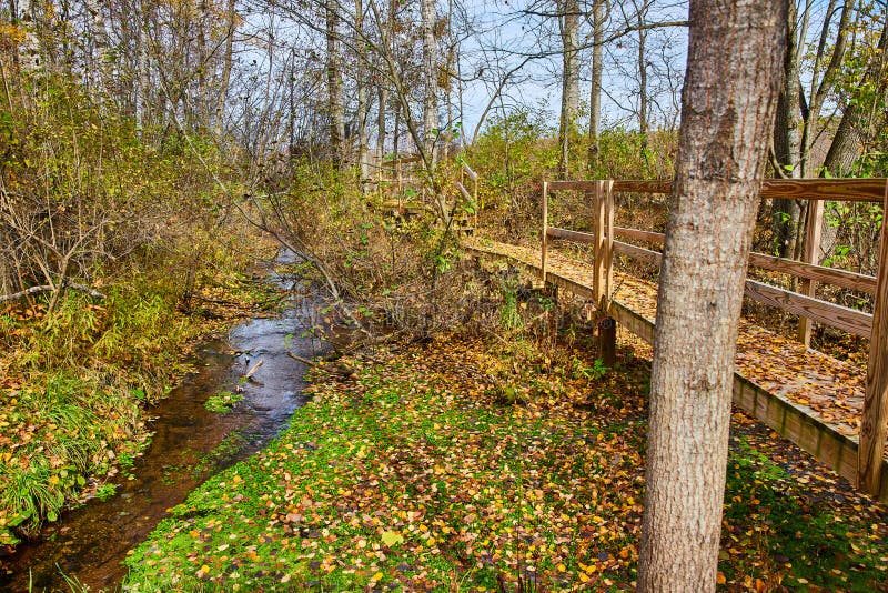 Boardwalk Going through Forest with Small Creek and Fall Leaves ...