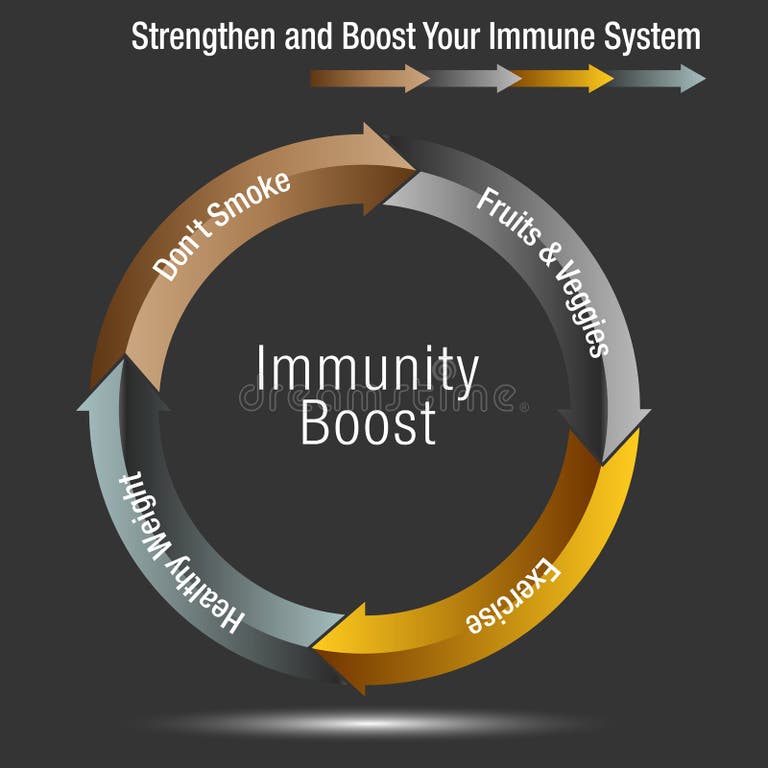 Boost and Stregthen Your Immune System Chart Stock Vector ...