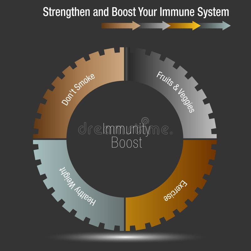 Boost and Stregthen Your Immune System Chart Stock Vector ...