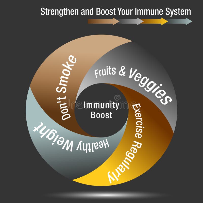 Boost and Stregthen Your Immune System Chart Stock Vector ...