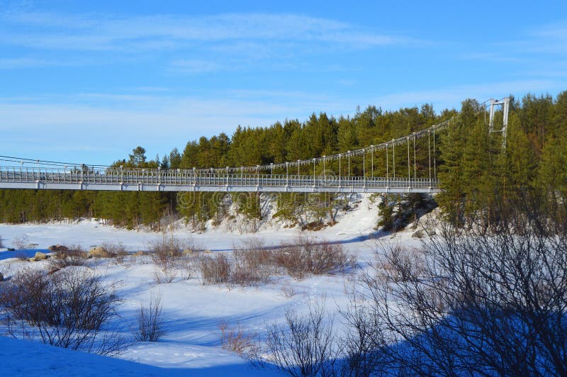 Suspension Bridge Over the Niva River in Spring Stock Photo - Image of ...