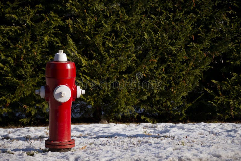 Bright Red Fire Hydrant stock photo. Image of protect - 263568354