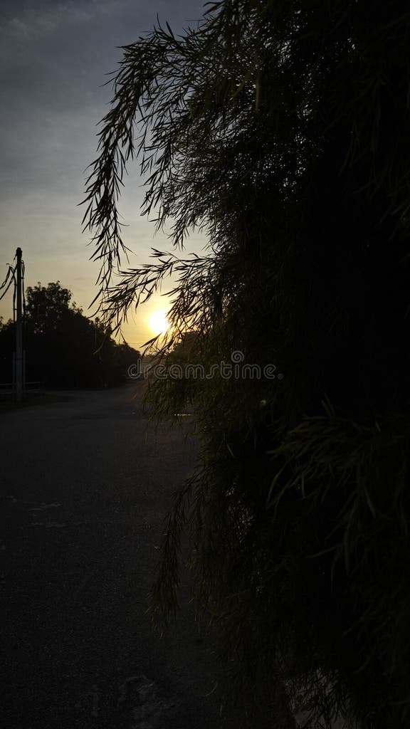 Bright Sunlight Beaming in the Middle of the Pathway the Distance ...