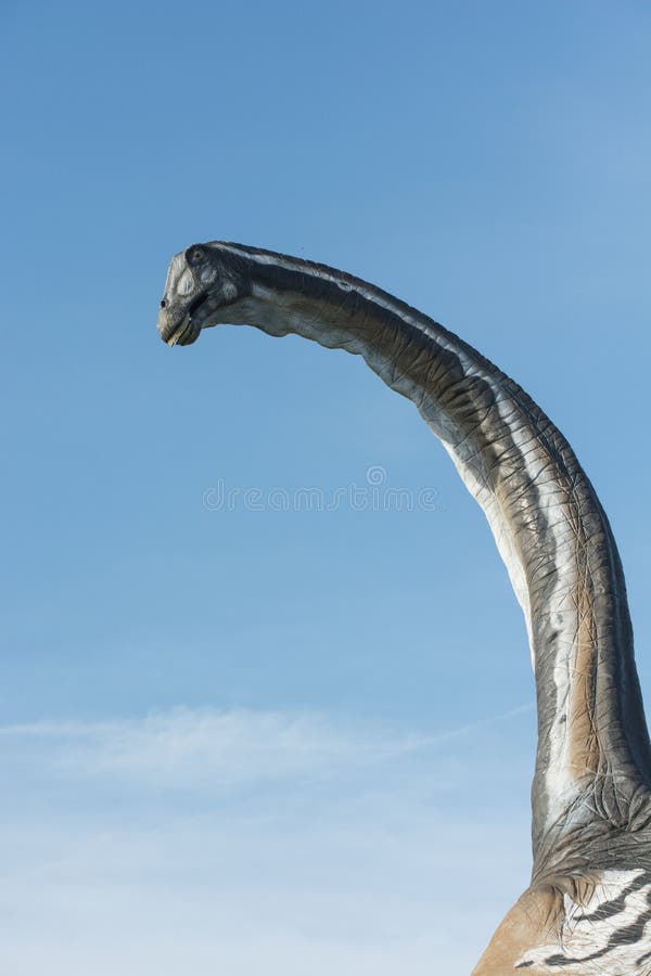 Portrait of a Brontosaurus Over Blu Sky Stock Image - Image of figure ...