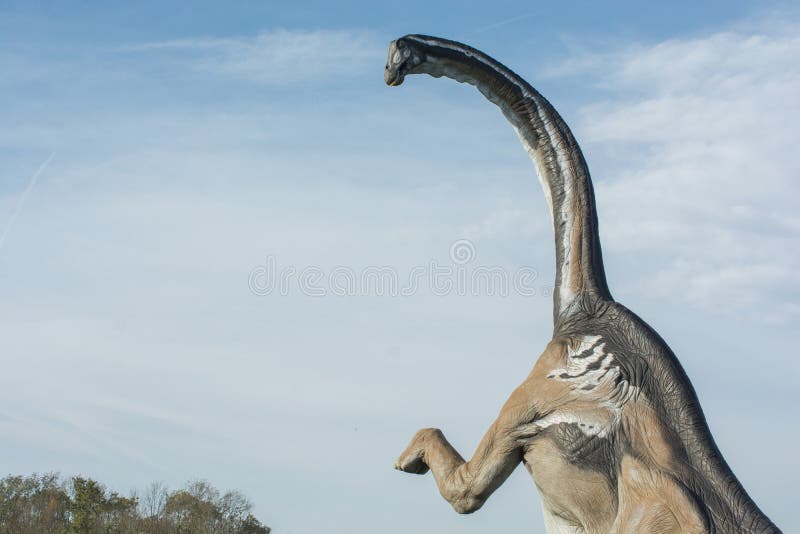 Dinosaur Brontosaurus and Human Size Comparison Stock Illustration ...