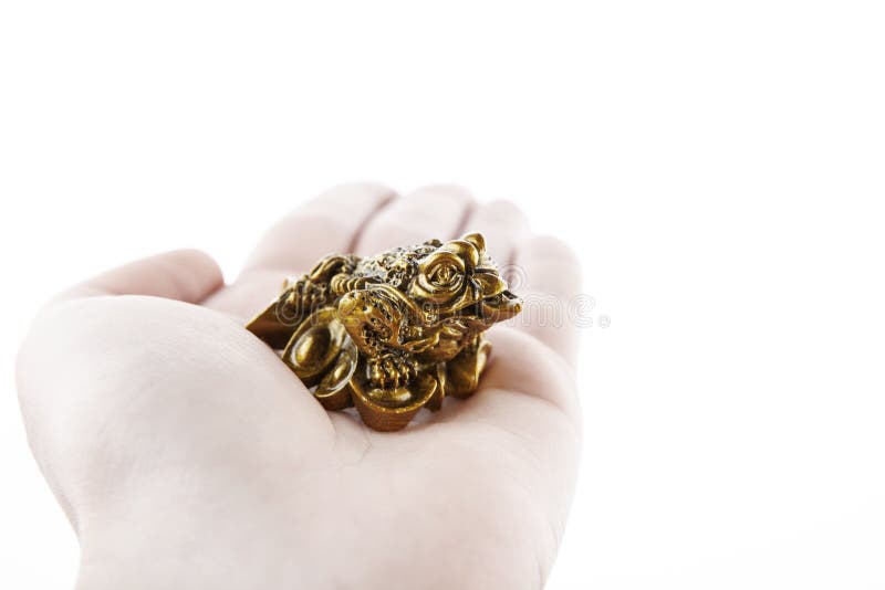 Image of Bronze Toad Hand White Background Stock Photo - Image of hope ...