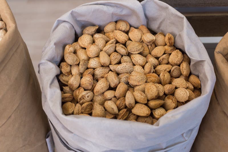 Image of Brown Almond in Container Stock Image - Image of shell ...