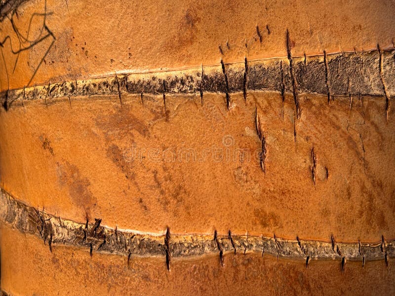 The Image is of a Brown Surface with a Lot of Scratches and Marks Stock ...