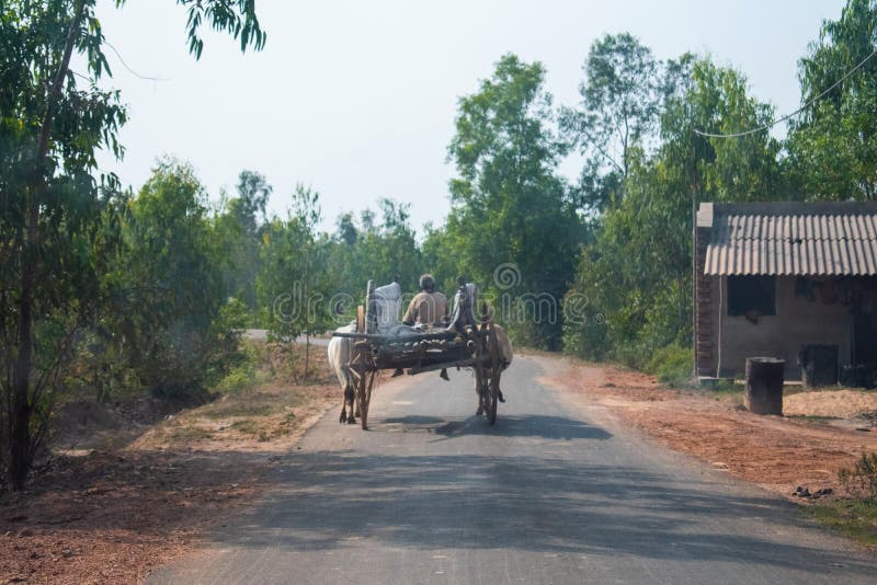 Image of a Bullock Cart Moving in a Road Captured from Behind Stock ...