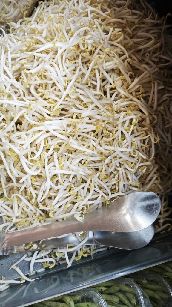 Bundle of Fresh Mung Bean Sprouts on Display. Stock Image - Image of ...