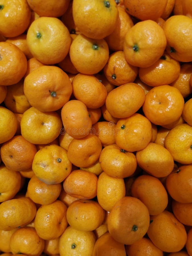 Bundle of the Mini China Honey Mandarin Orange. Stock Photo - Image of ...