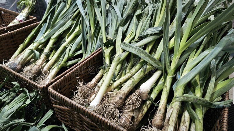 Bundle of Raw Fresh Red Leek Vegetable. Stock Image - Image of view ...