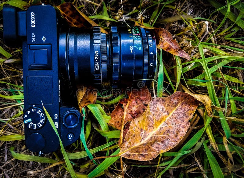 Camera in Grass with Leaves Editorial Stock Photo - Image of blue ...