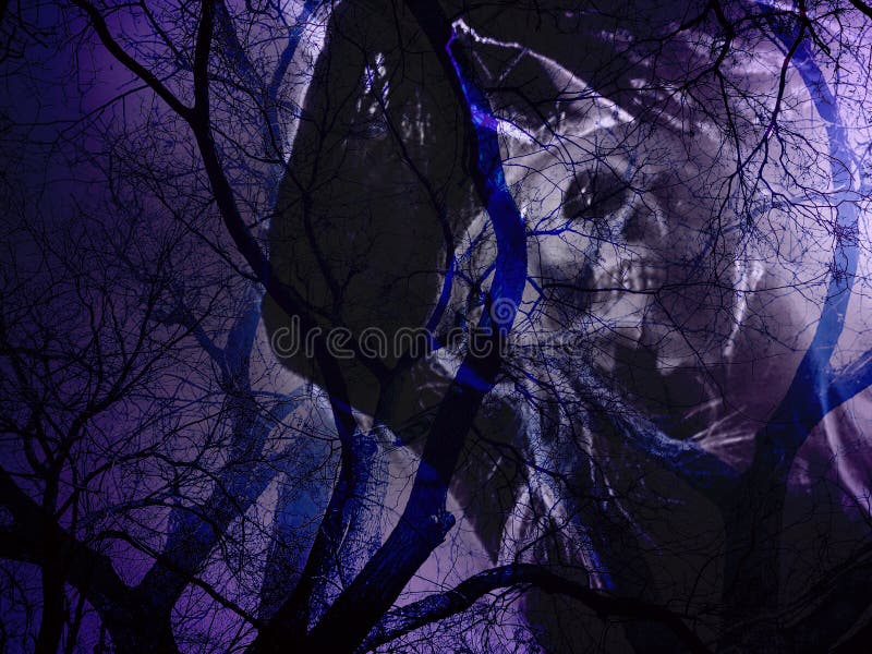Dead Trees with Skull Ghost in Mysterious Shadows in Light Purple Color ...
