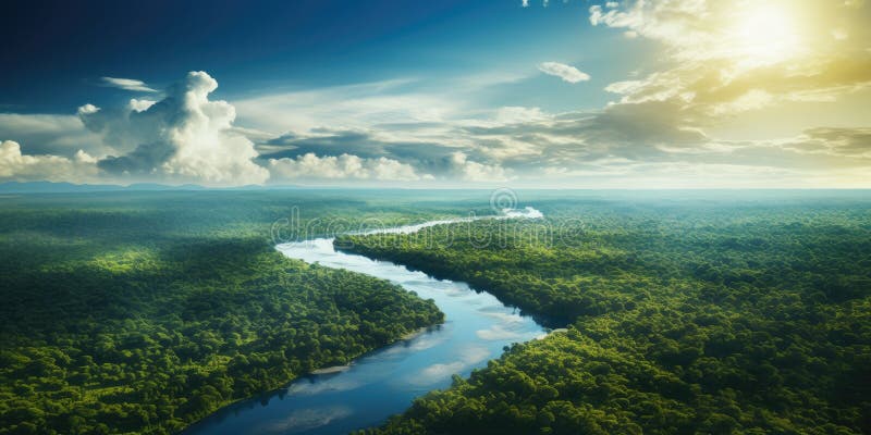Areal View of the Vast Amazon River and Amazonian Lush Rain Forest ...